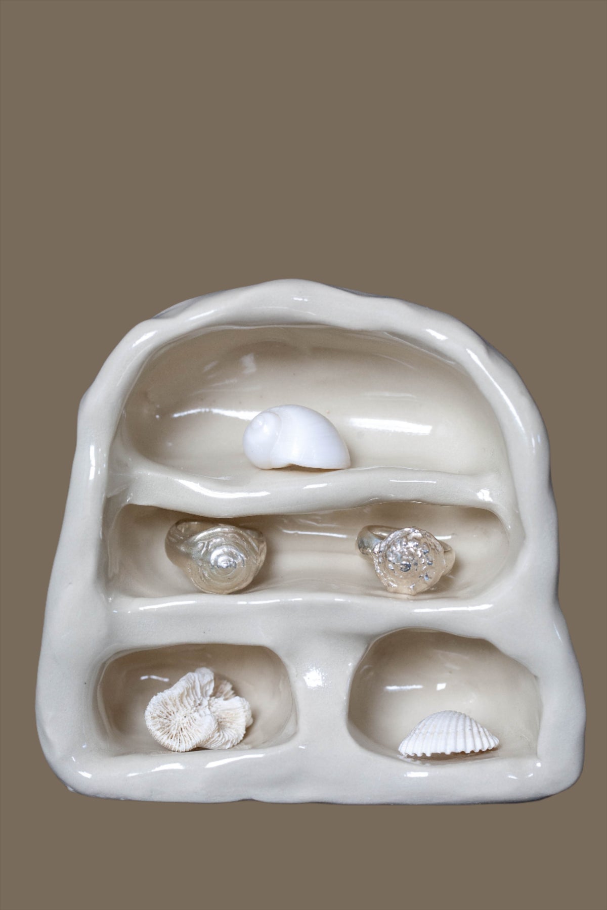 Ode to seashells shelf | Côte Ouest